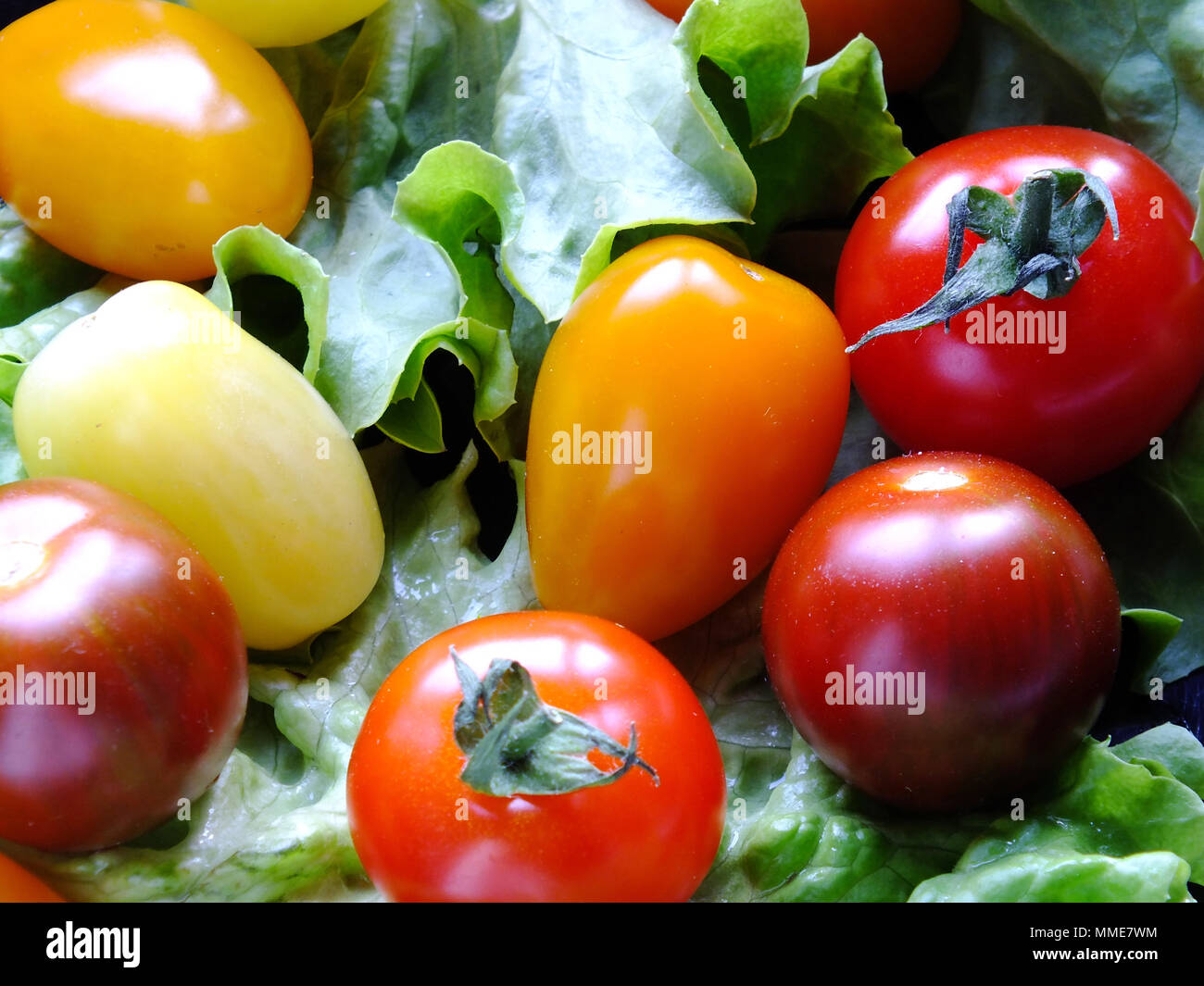 Tomato diversity hi-res stock photography and images - Alamy