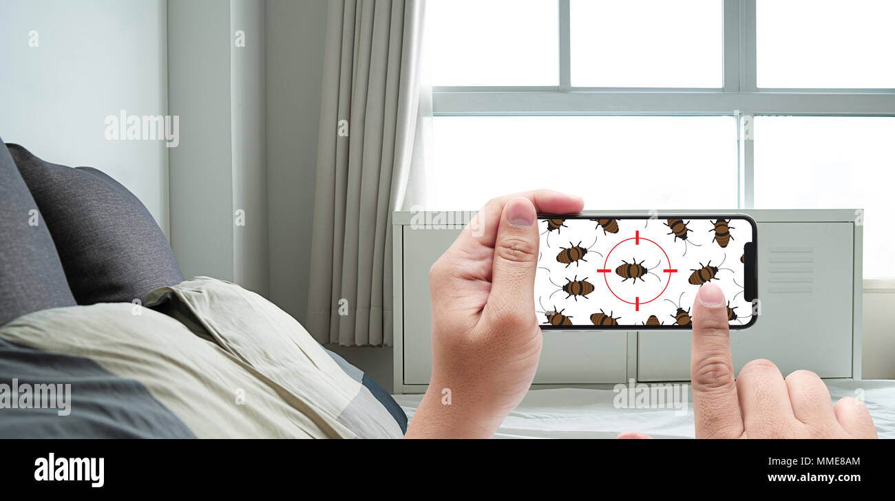 Women are checking for unusual things and detecting bed bugs in the ...