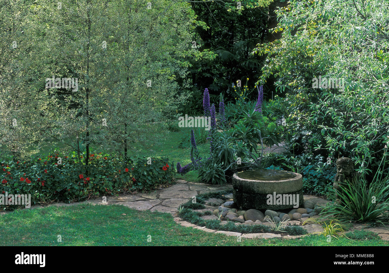 GORGEOUS COOL SHADY GARDEN FEATURING WATER FEATURE, PAVING, ECHIUM ...