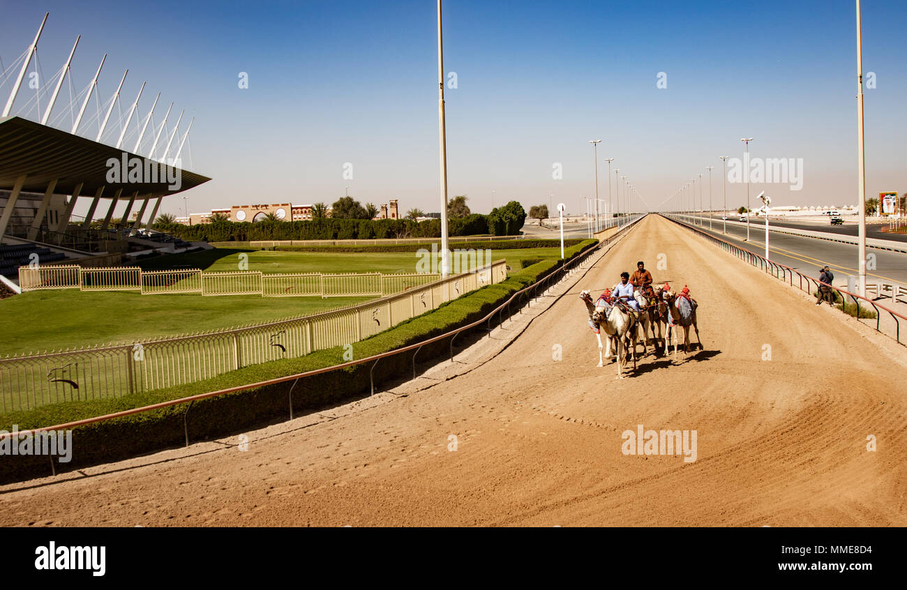 Dubai, UAE, Mar 21, 2018 - Camels can be seen coming in the distance as ...