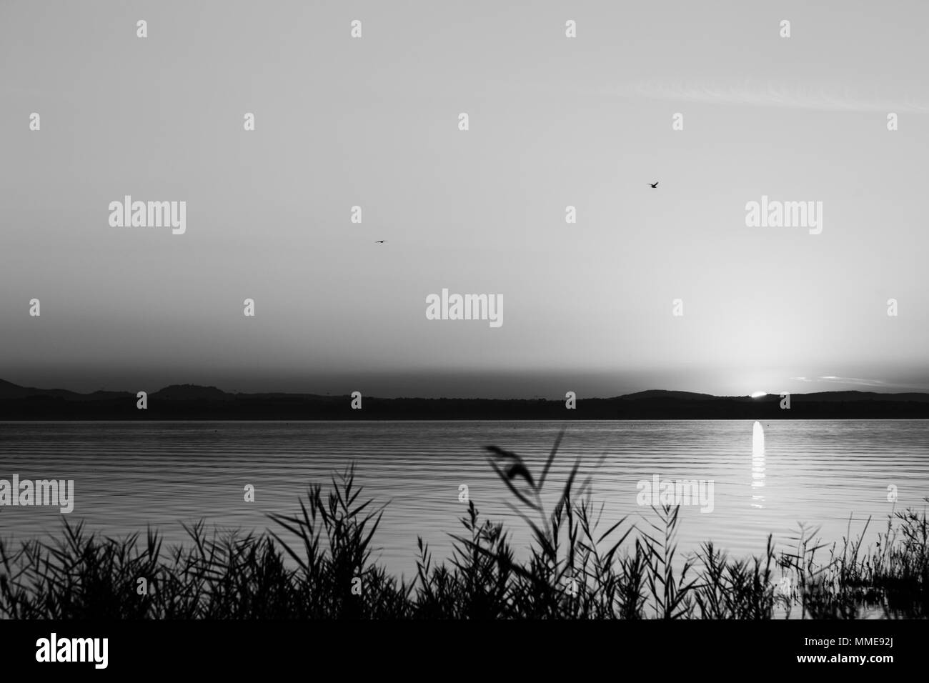 Classic sunset on a lake, with sun low on the horizon, flying bi Stock ...