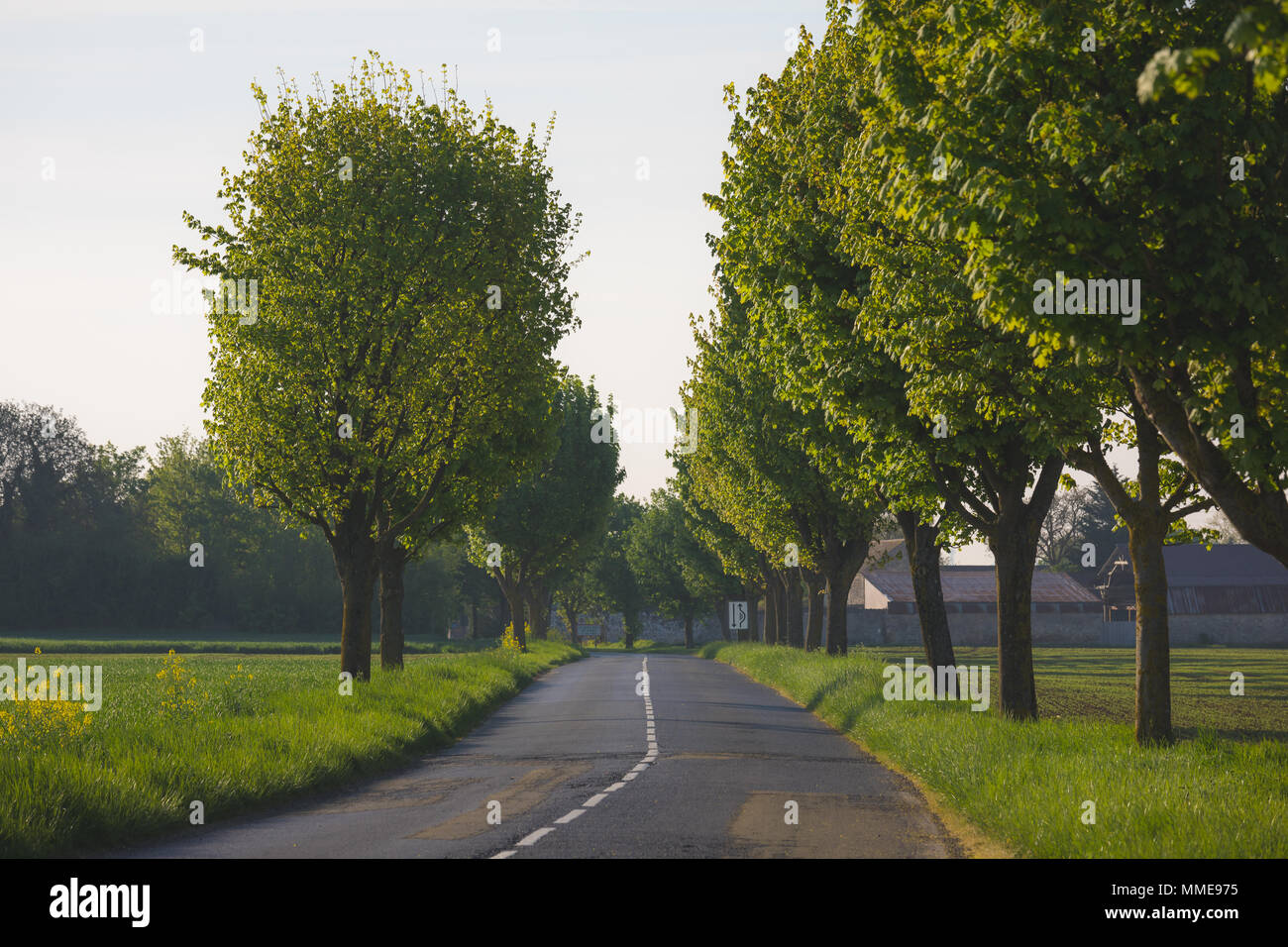 scenic empty countryside road surrounded by trees in day . france Stock ...