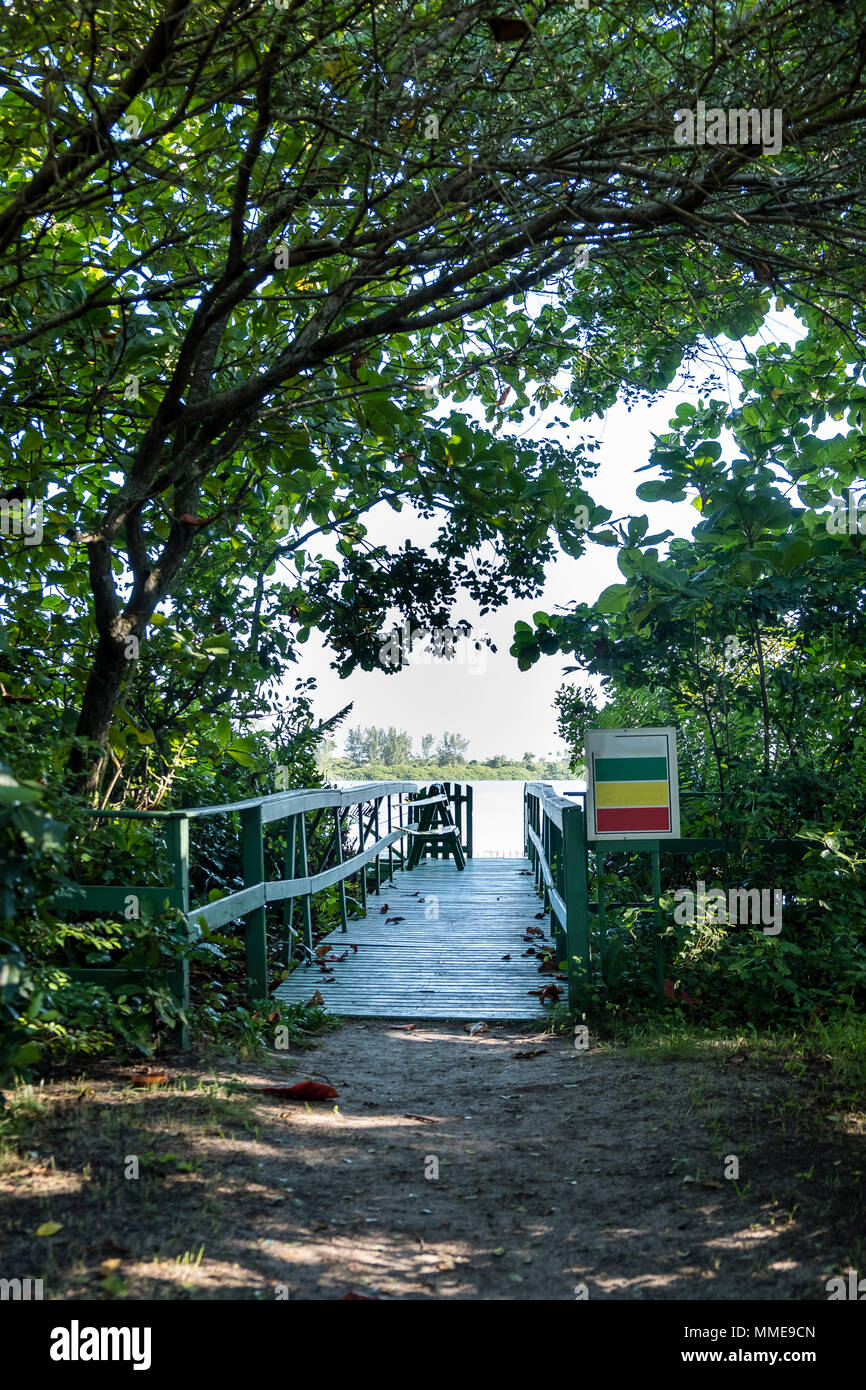 Pathway to small wooden dock in lake, covered in vegetation. Lake can ...