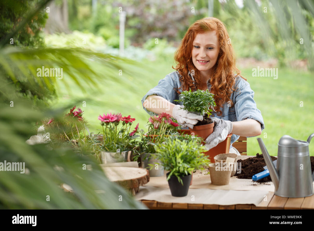 Housewife gardener hi-res stock photography and images - Alamy