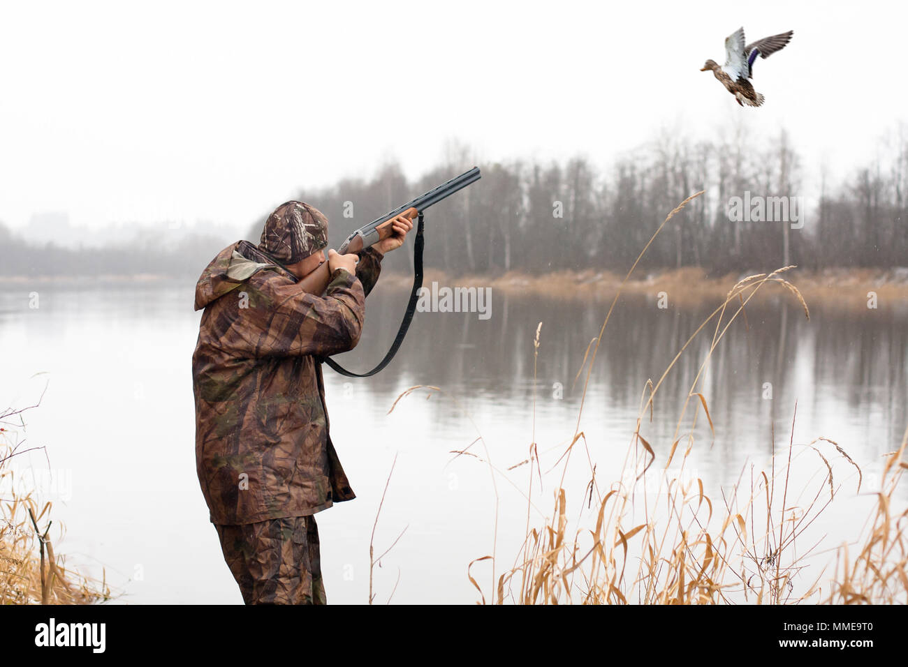 hunter shooting from shotgun to the flying duck Stock Photo - Alamy