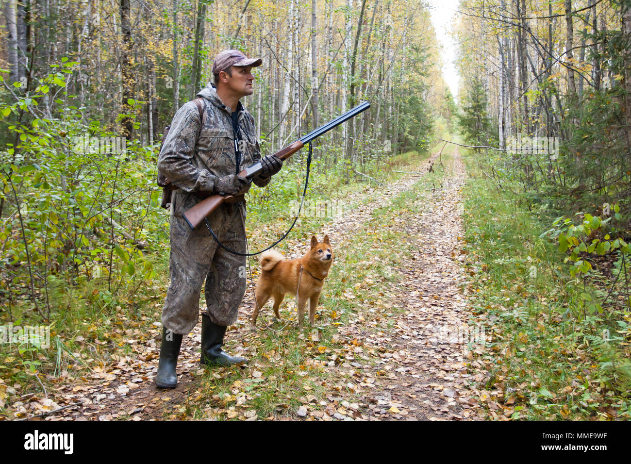 hunter with dog on the forest road during autumn hunt Stock Photo - Alamy
