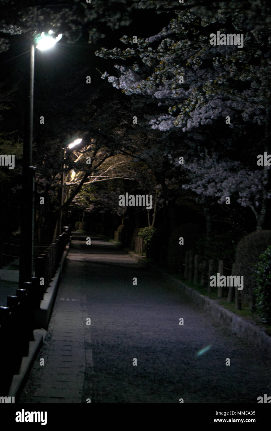 Philosopher's Path at night, Kyoto, Japan Stock Photo - Alamy