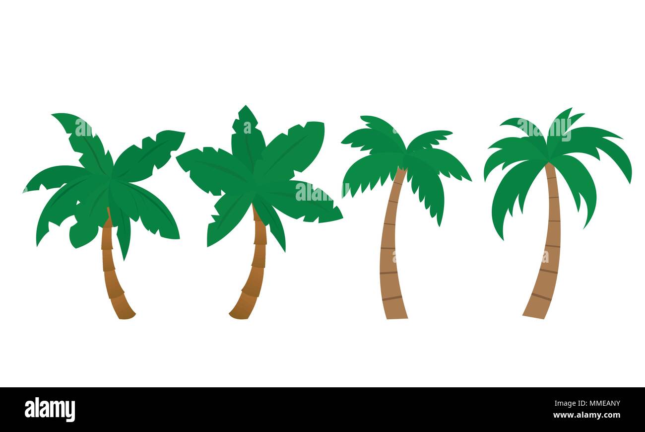 Set of vector palm illustrations, isolated on white background - Flat ...