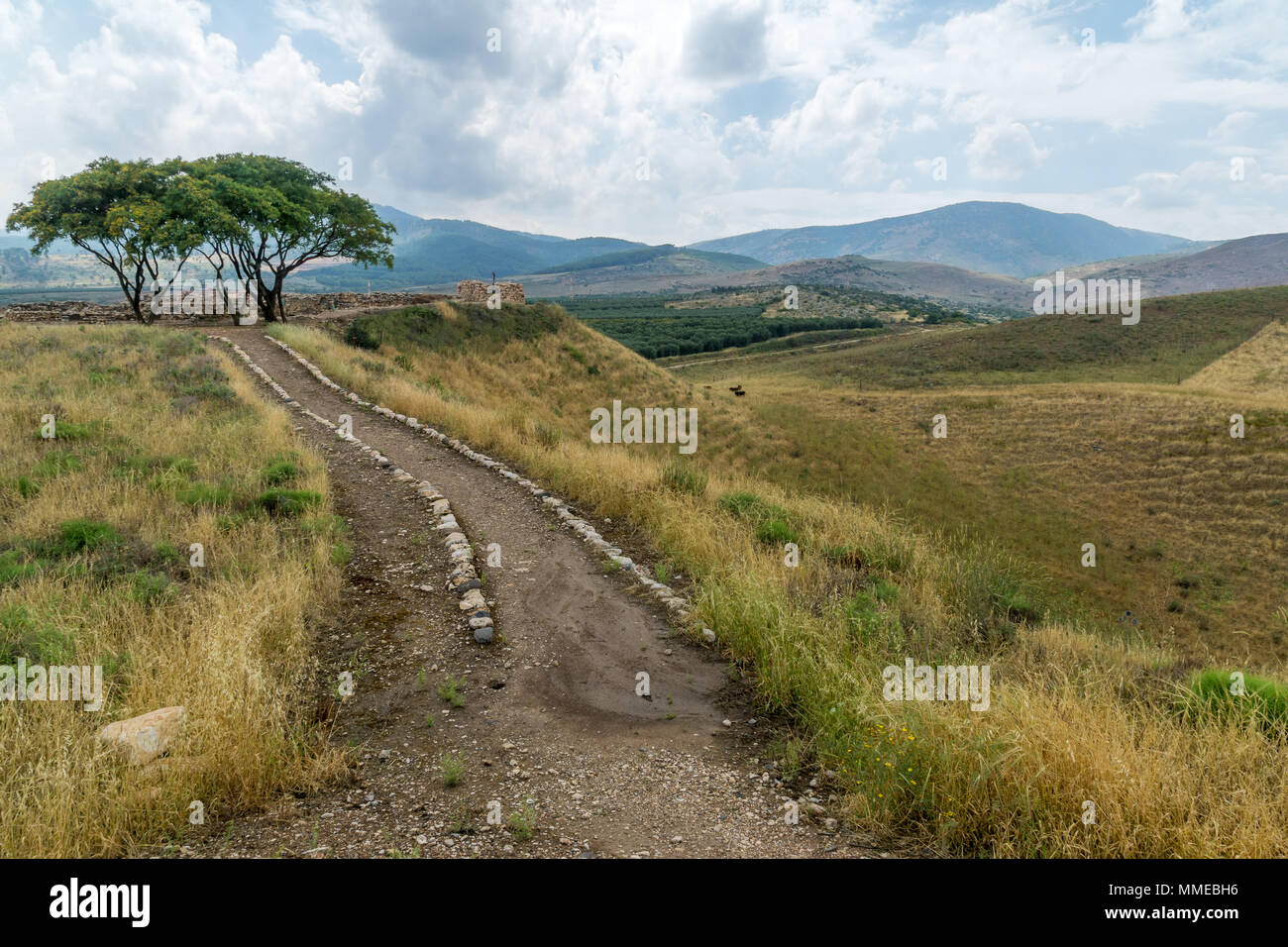 Landscape of countryside and the Galilee mountains in the Hula Valley ...
