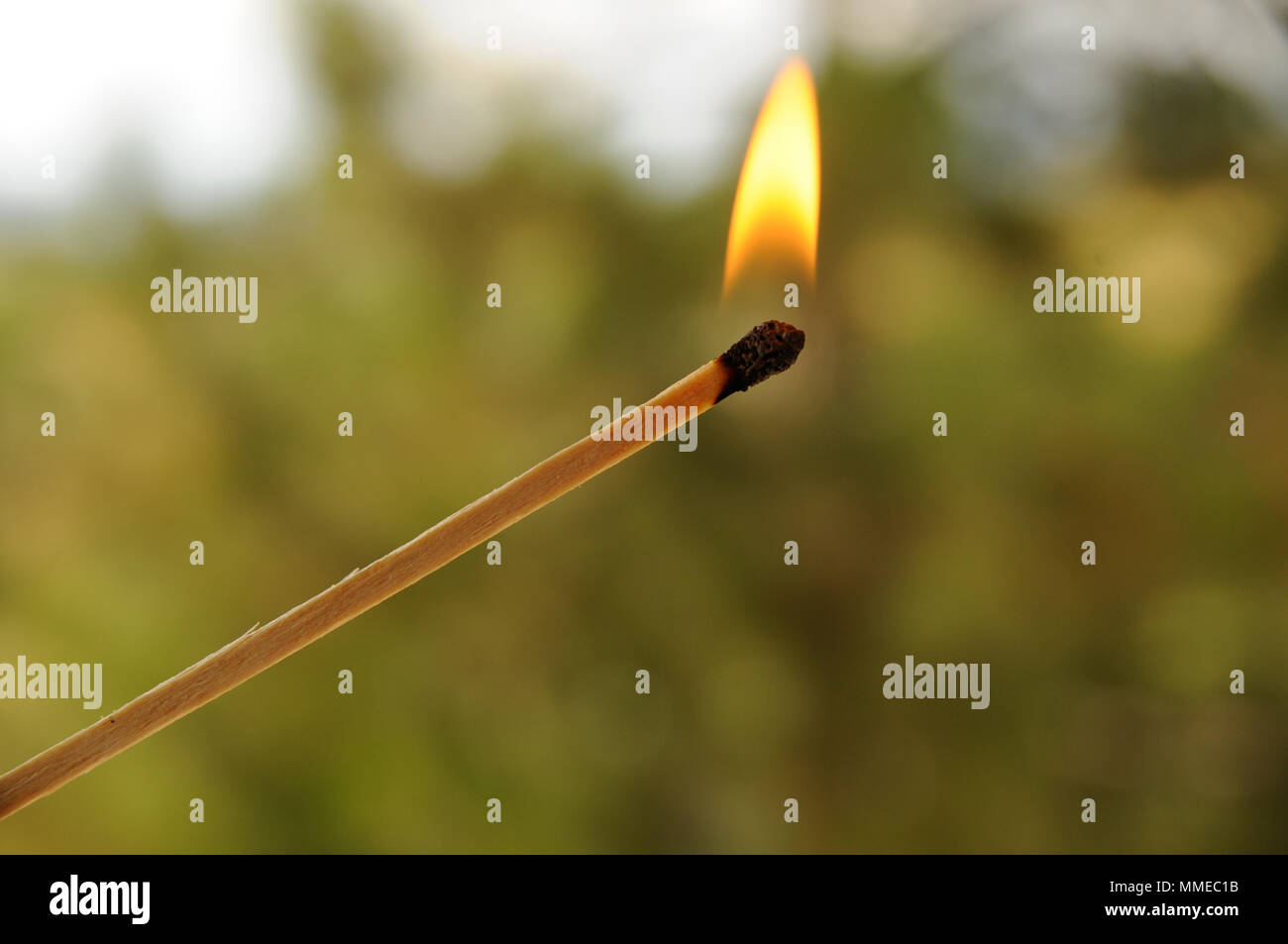 Fire burning single match Stock Photo - Alamy
