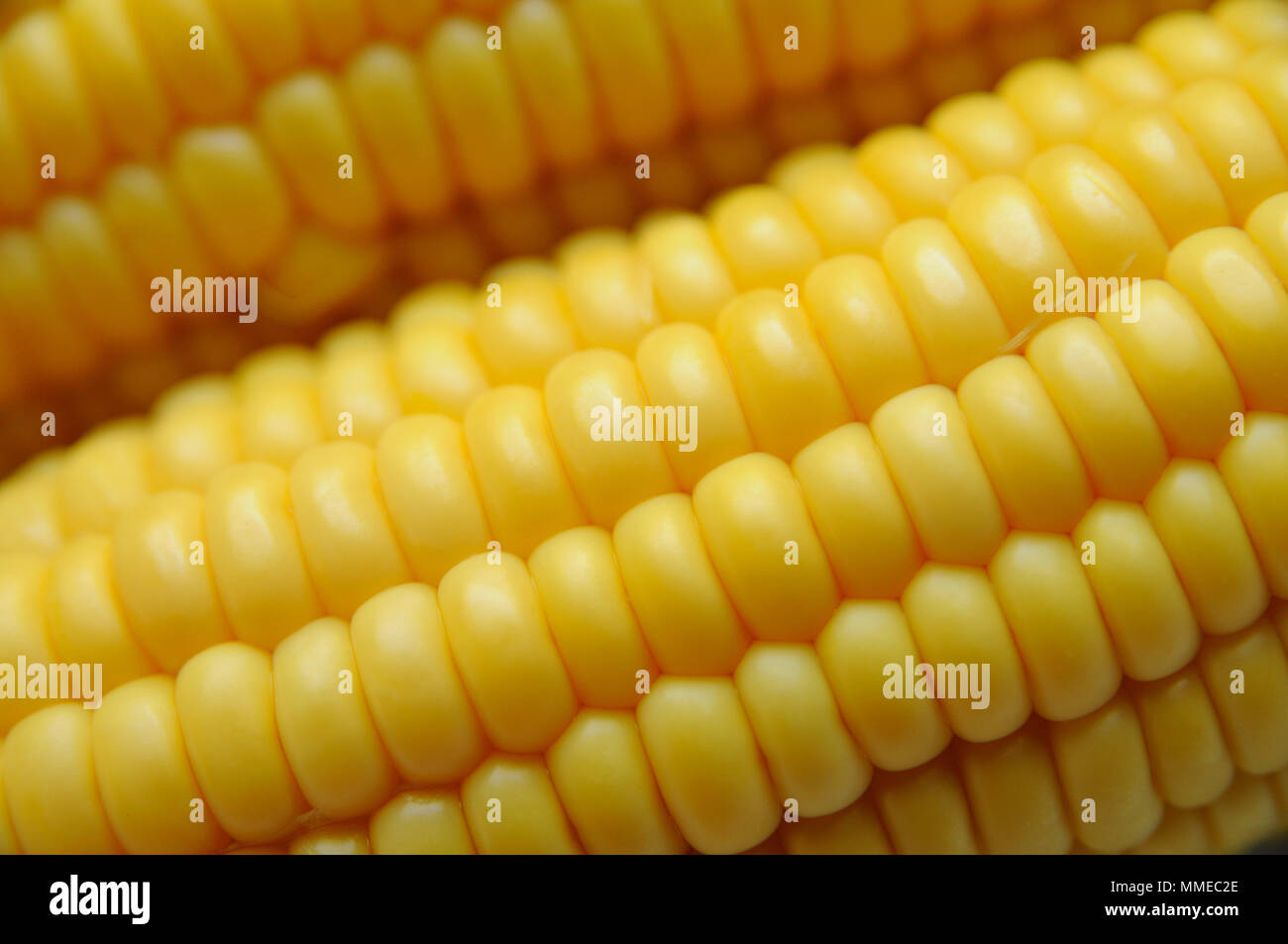 Open cobs of sweet corn hi-res stock photography and images - Alamy