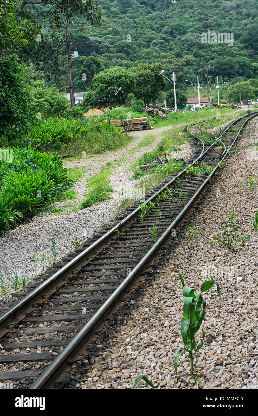 line transition train track railway stones nature Stock Photo - Alamy