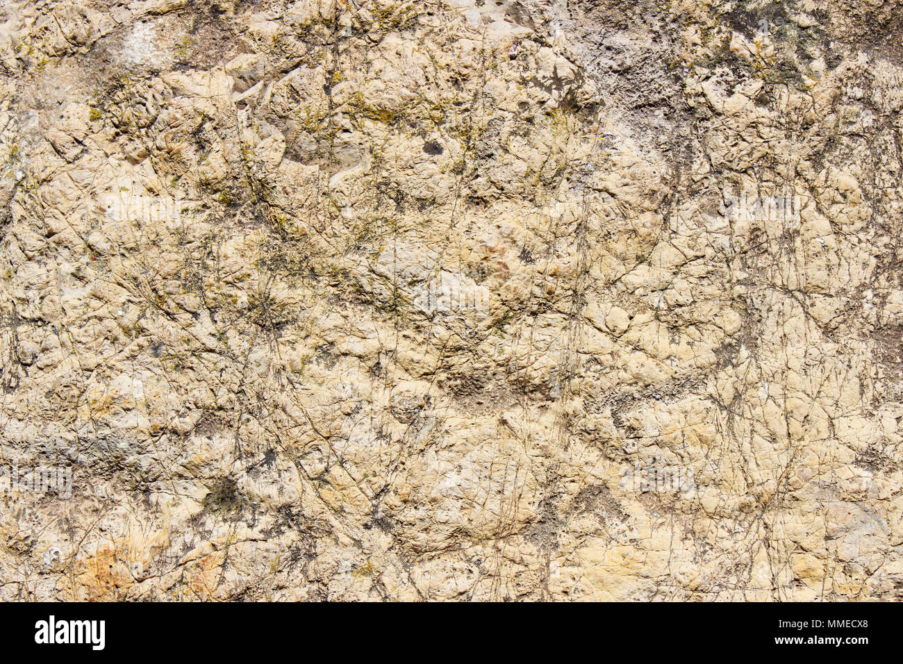 Limestone paving stone hi-res stock photography and images - Alamy