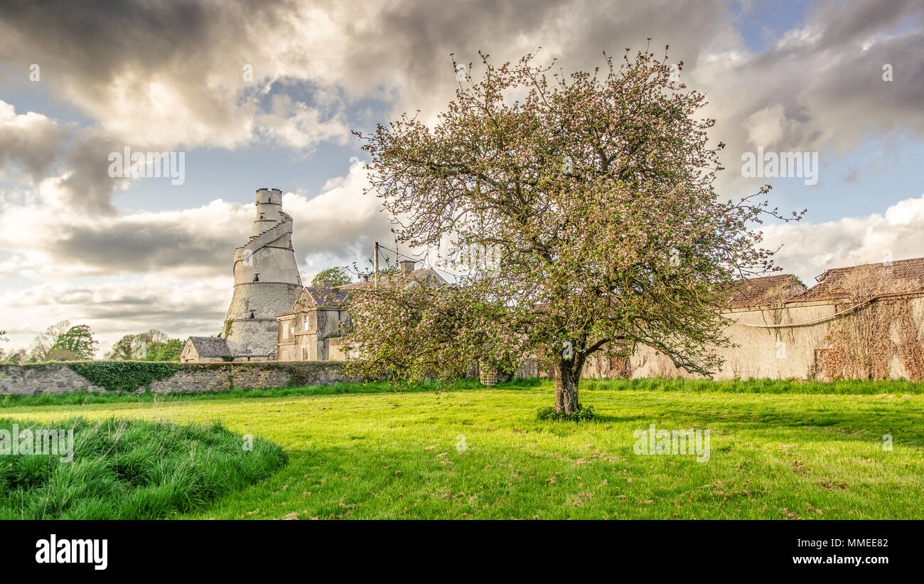 Wonderful Barn is corkscrew shaped tower based on the design of an ...
