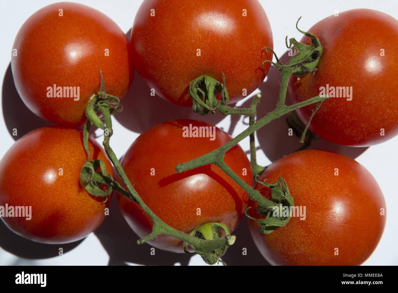 6 tomatoes hi-res stock photography and images - Alamy