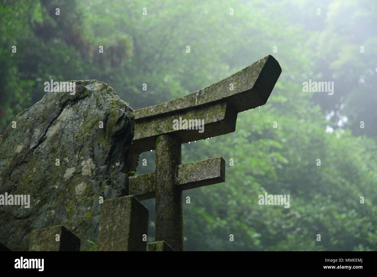 Torii stone gate - a symbol of japan Stock Photo - Alamy