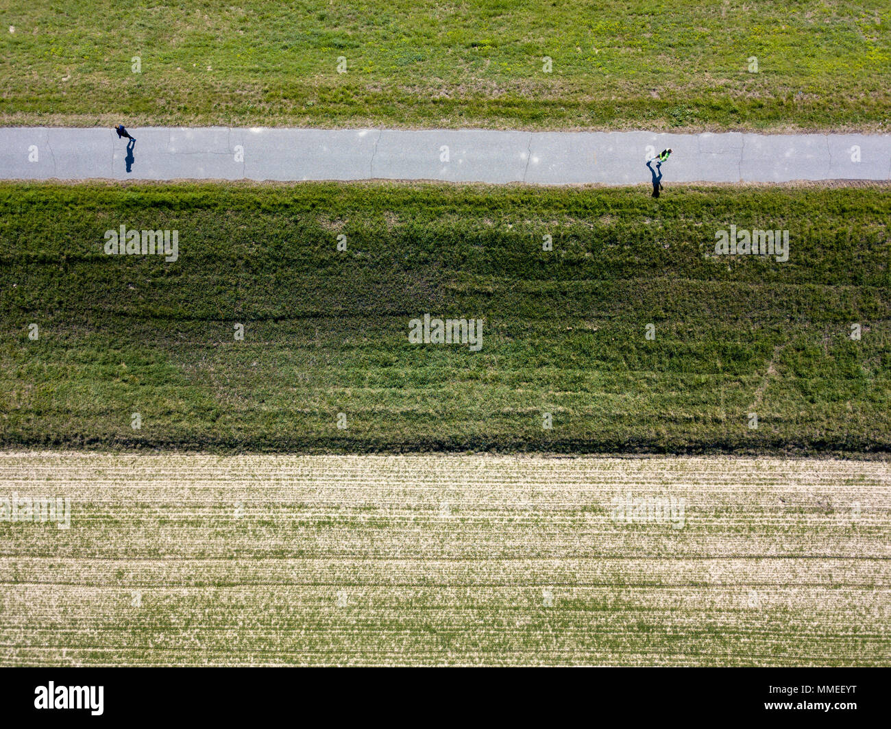 Running man, top view, aerial view, workout, sport, marathon ...