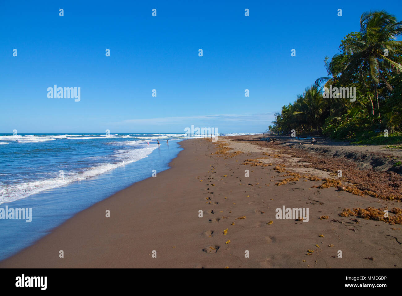 Remote beach in the wild tropics Stock Photo - Alamy