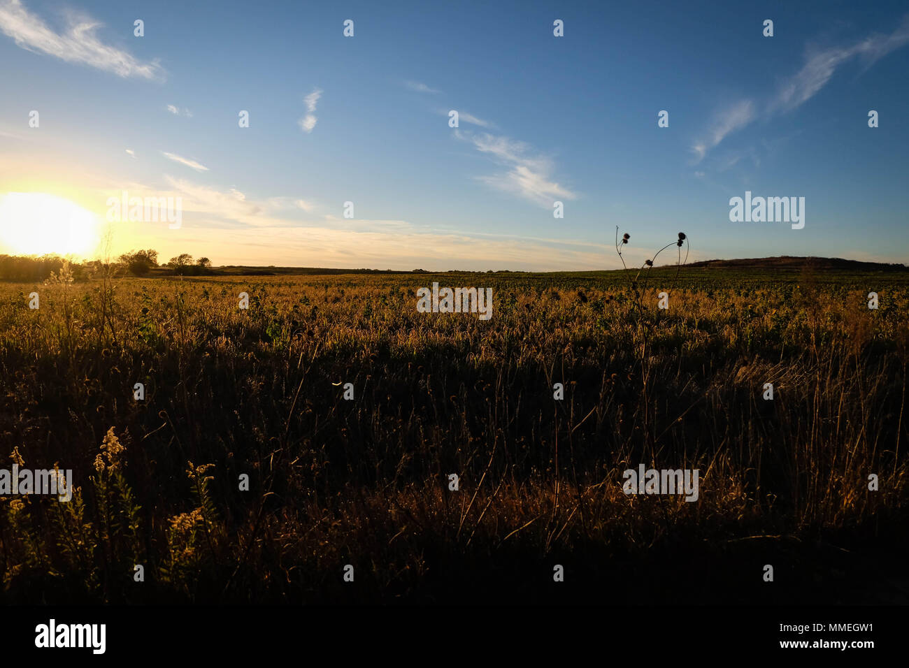 Landscape shot with sunset Stock Photo - Alamy