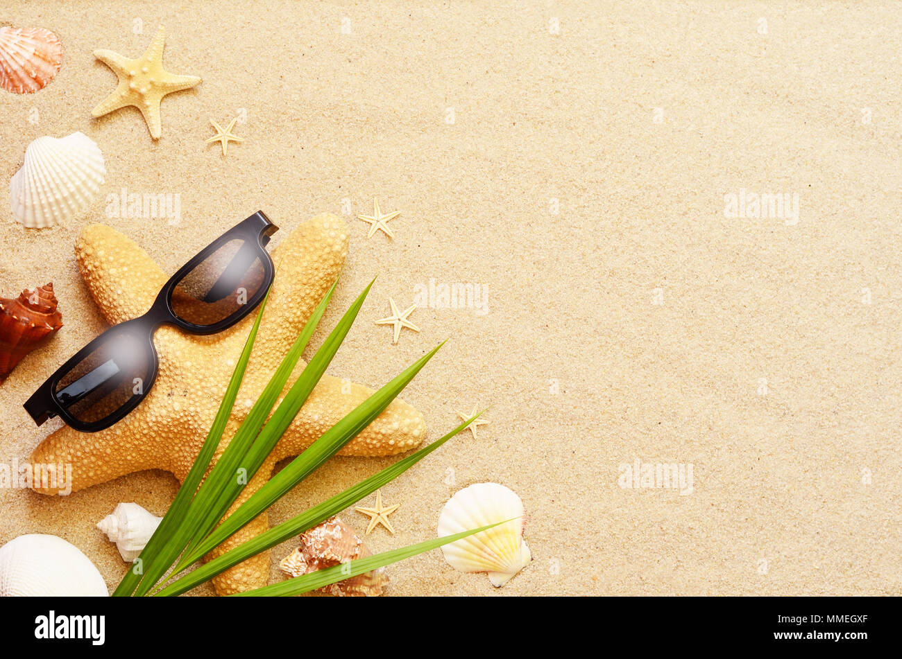 Funny starfish and seashells on the summer beach with sand and palm ...
