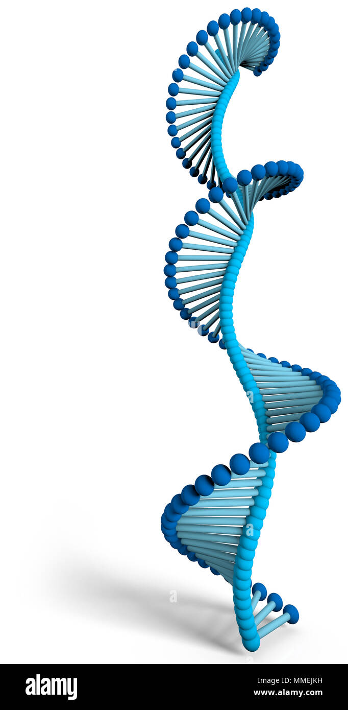 DNA, Deoxyribonucleic acid is a thread-like chain of nucleotides ...