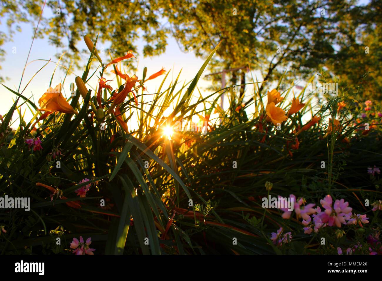 Spring sunsets hi-res stock photography and images - Alamy