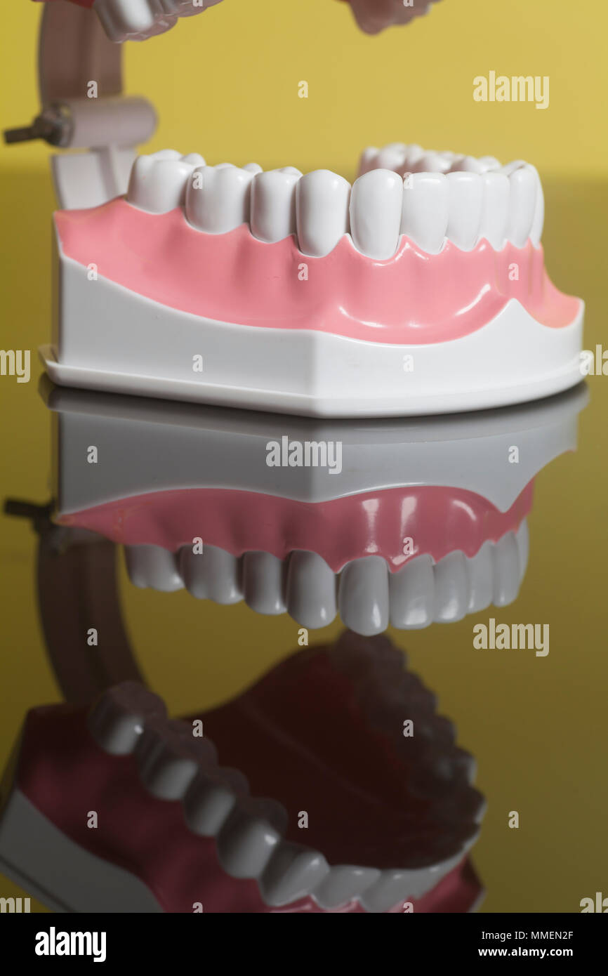 Yellow teeth enamel hi-res stock photography and images - Alamy