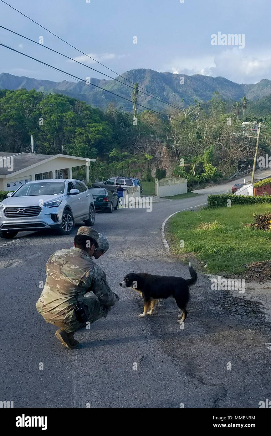 393rd combat sustainment support battalion hi-res stock photography and ...