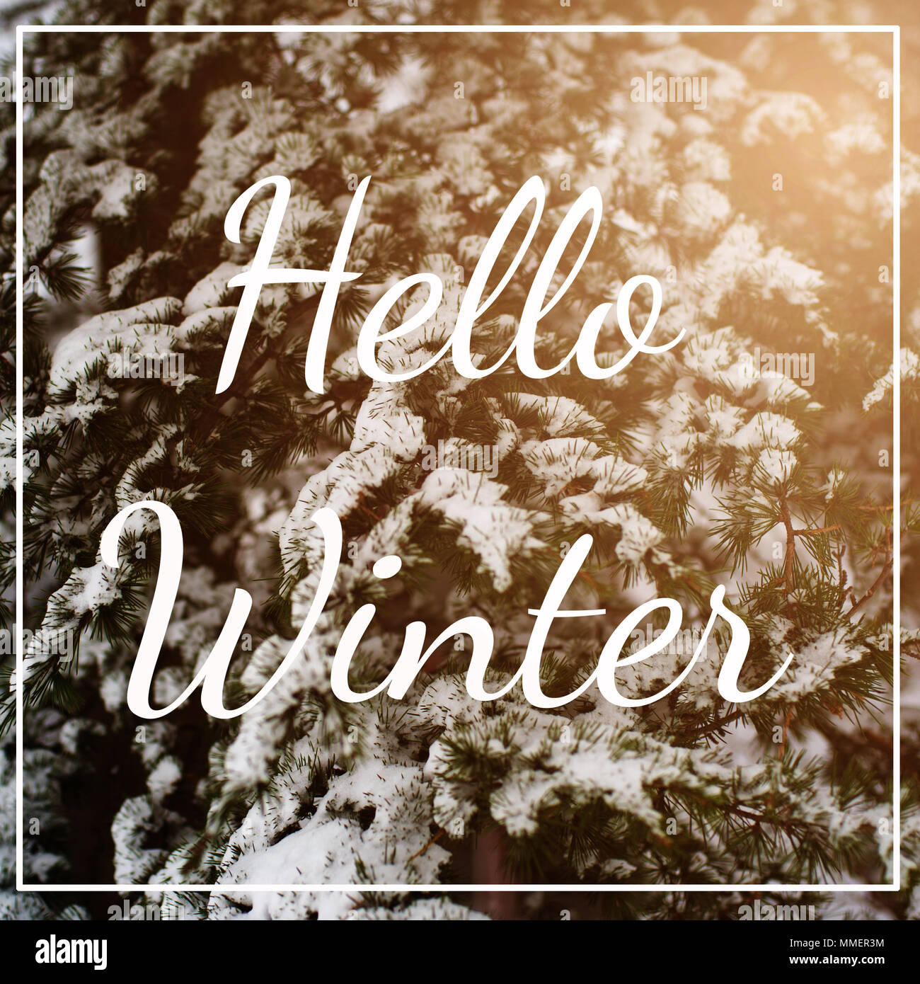 Hello winter hi-res stock photography and images - Alamy