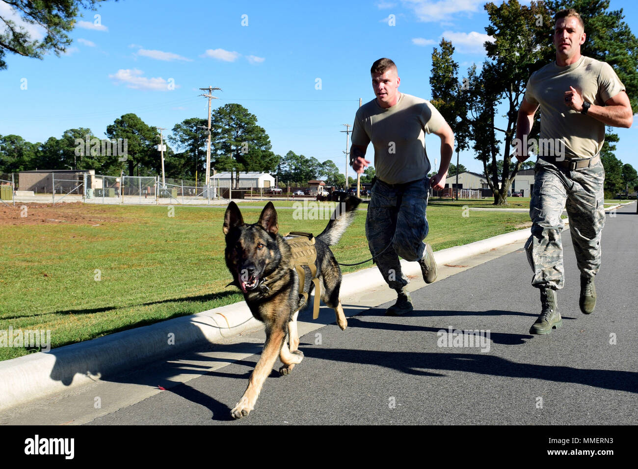 Miko, 4th Security Forces Squadron military working dog, Senior Airman ...