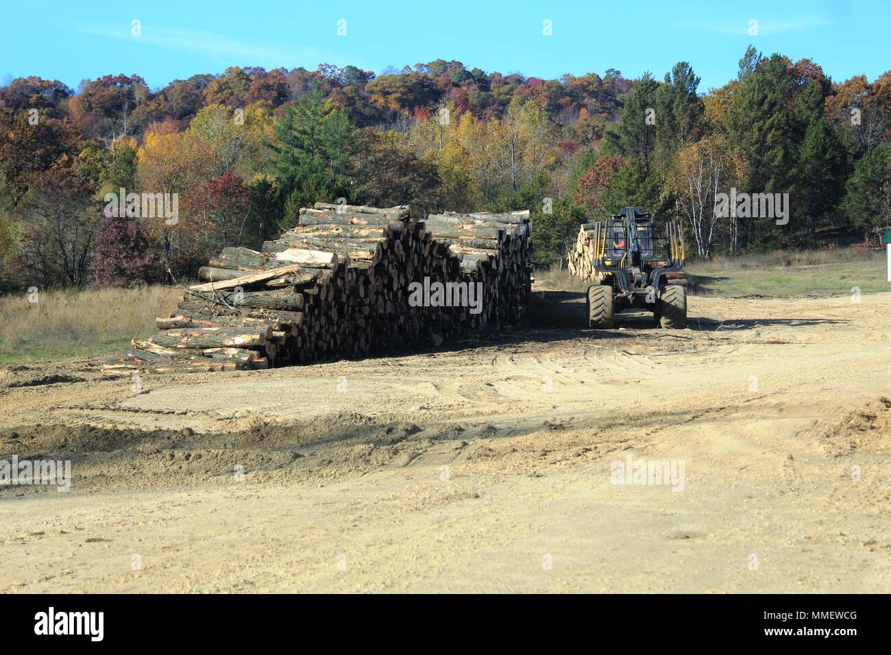 A worker operates logging equipment to unload logs at a site as part of ...