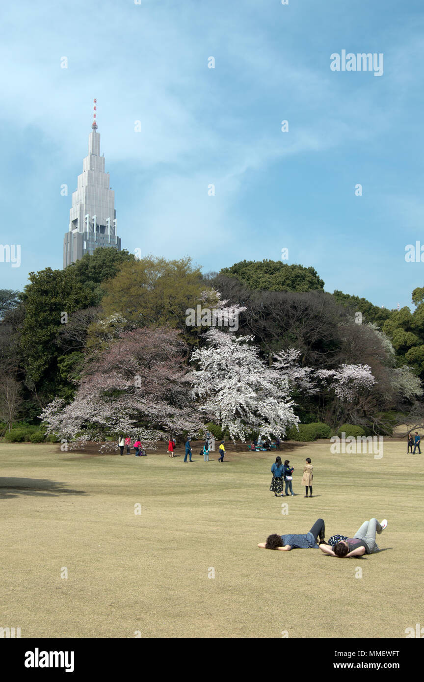 The NTT Docomo tower from Shinjuku Gyoen National Garden, Tokyo Stock ...