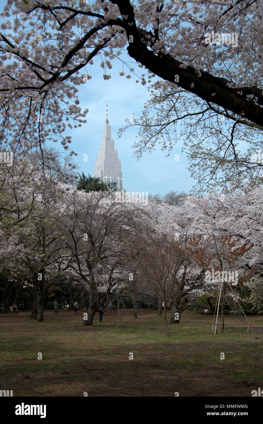 The NTT Docomo tower from Shinjuku Gyoen National Garden, Tokyo Stock ...
