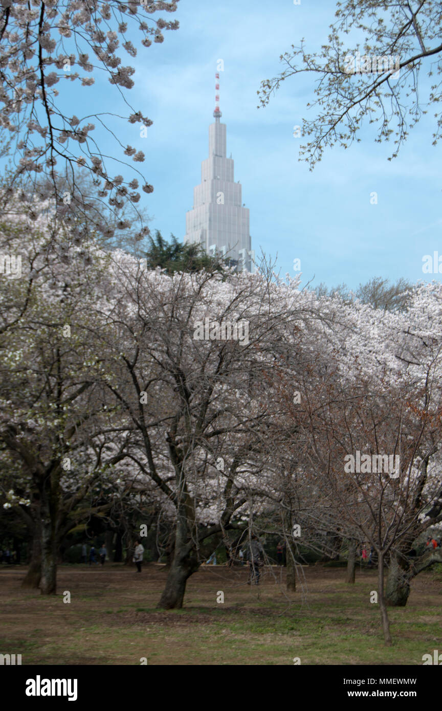 The NTT Docomo tower from Shinjuku Gyoen National Garden, Tokyo Stock ...