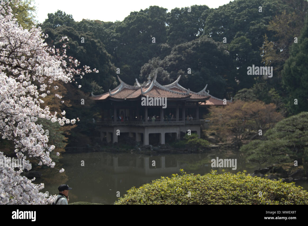Traditional japanese tea house hi-res stock photography and images - Alamy