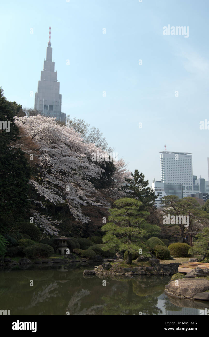 The NTT Docomo tower from Shinjuku Gyoen National Garden, Tokyo Stock ...