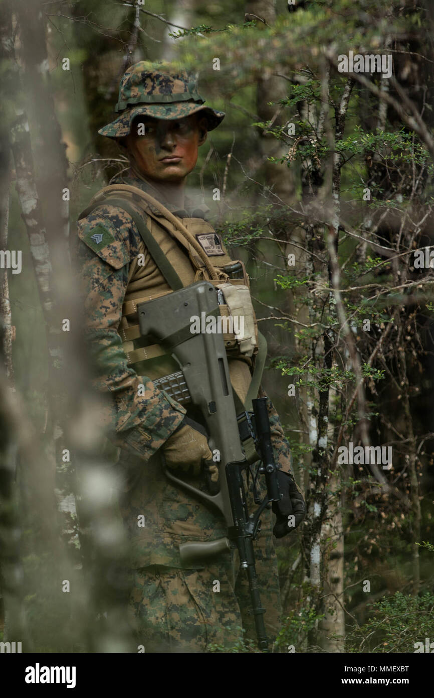 U.S. Marine Corps Sgt. Robert Macejak, a light armored vehicle crewman ...