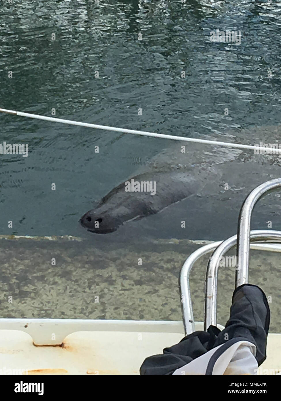 Maria esf 10 pr hi-res stock photography and images - Alamy