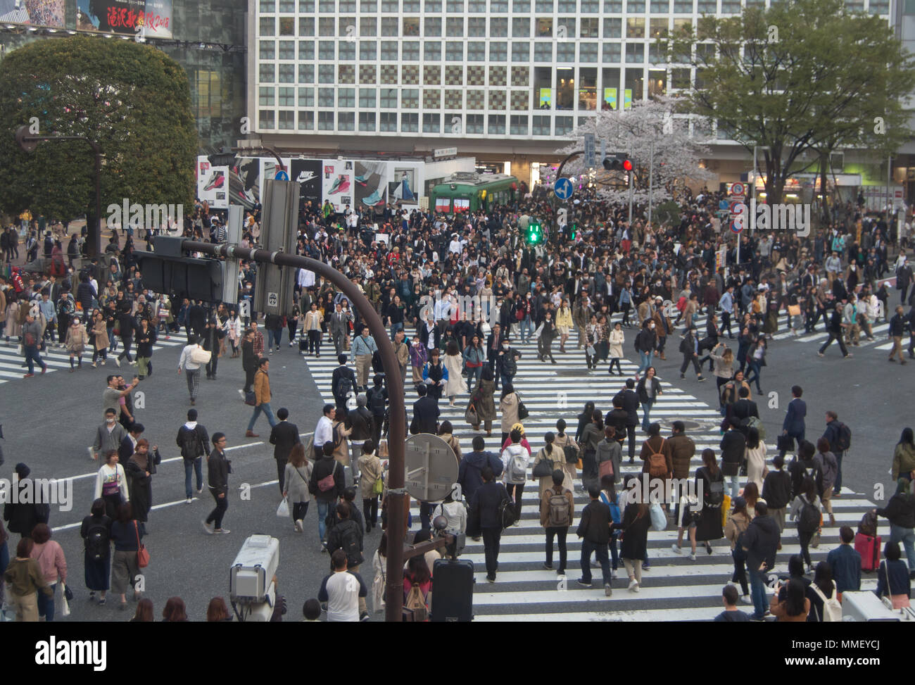Pedestrians crossing the Shibuya scramble crossing in Tokyo, Japan ...