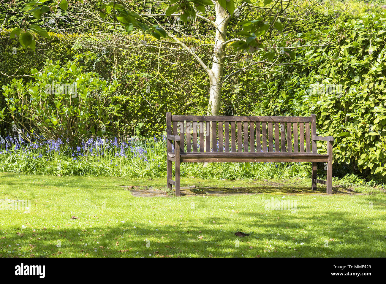 Lone garden bench set in a tranquil corner of a garden Stock Photo - Alamy