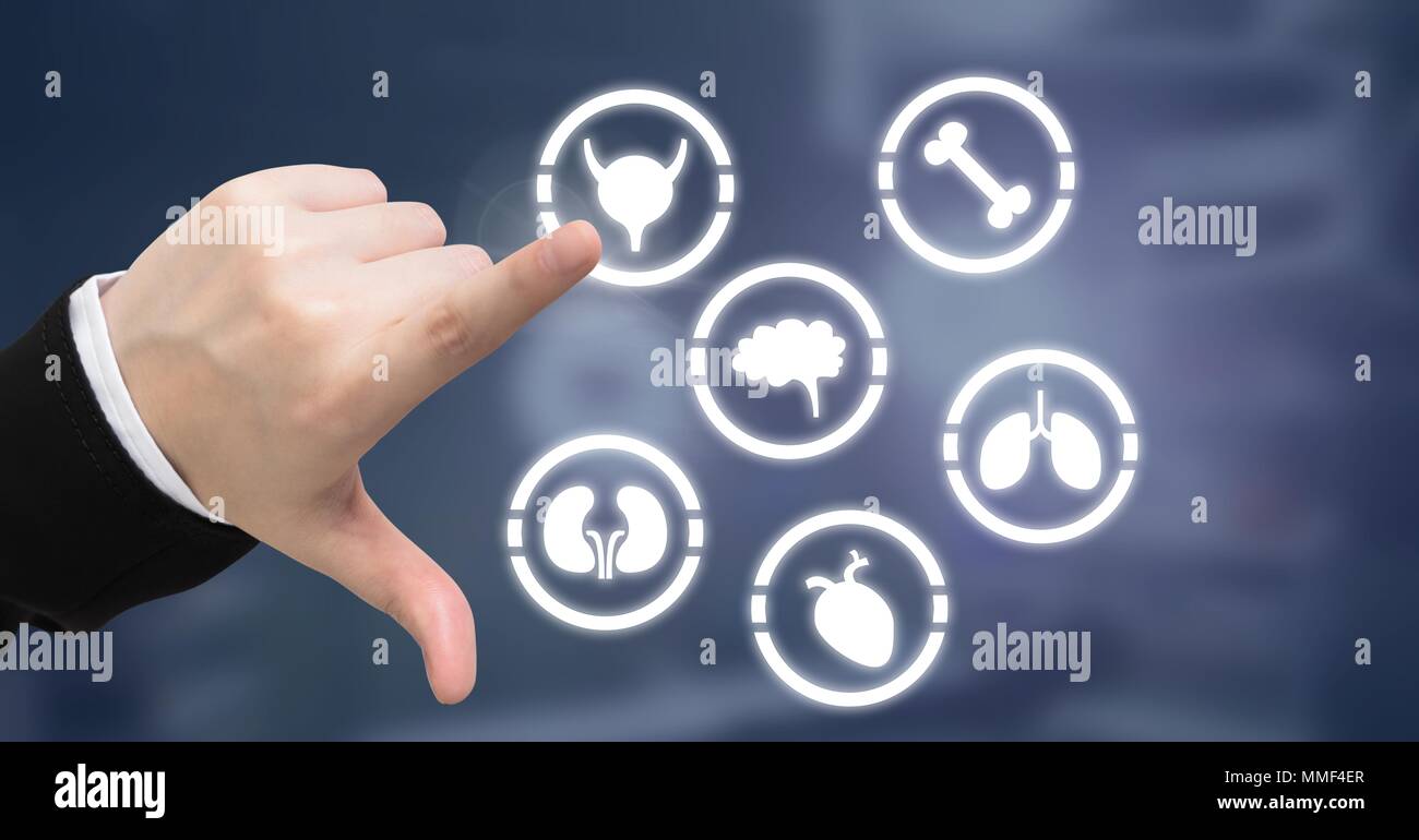 Human body female organs hi-res stock photography and images - Alamy