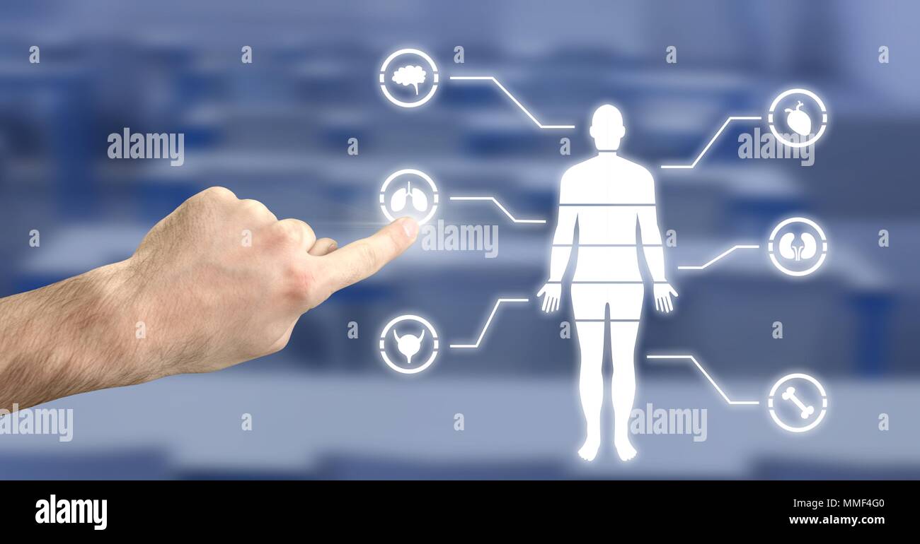 Human Body Chart and hand touching Stock Photo - Alamy