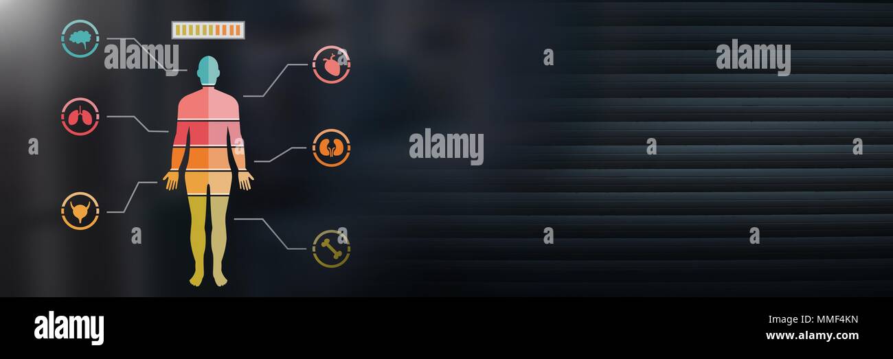 Colorful Human Body Chart and ridged transition Stock Photo - Alamy