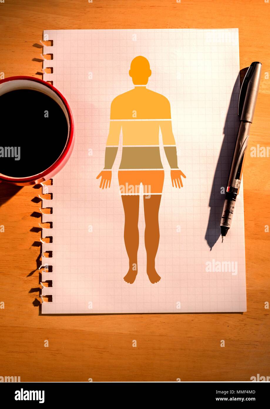 Sections of the human body hi-res stock photography and images - Alamy