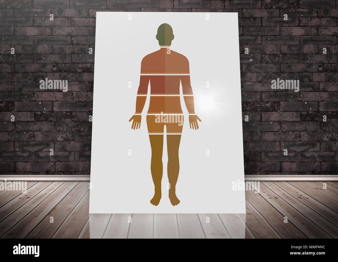 Sections of the body hi-res stock photography and images - Alamy