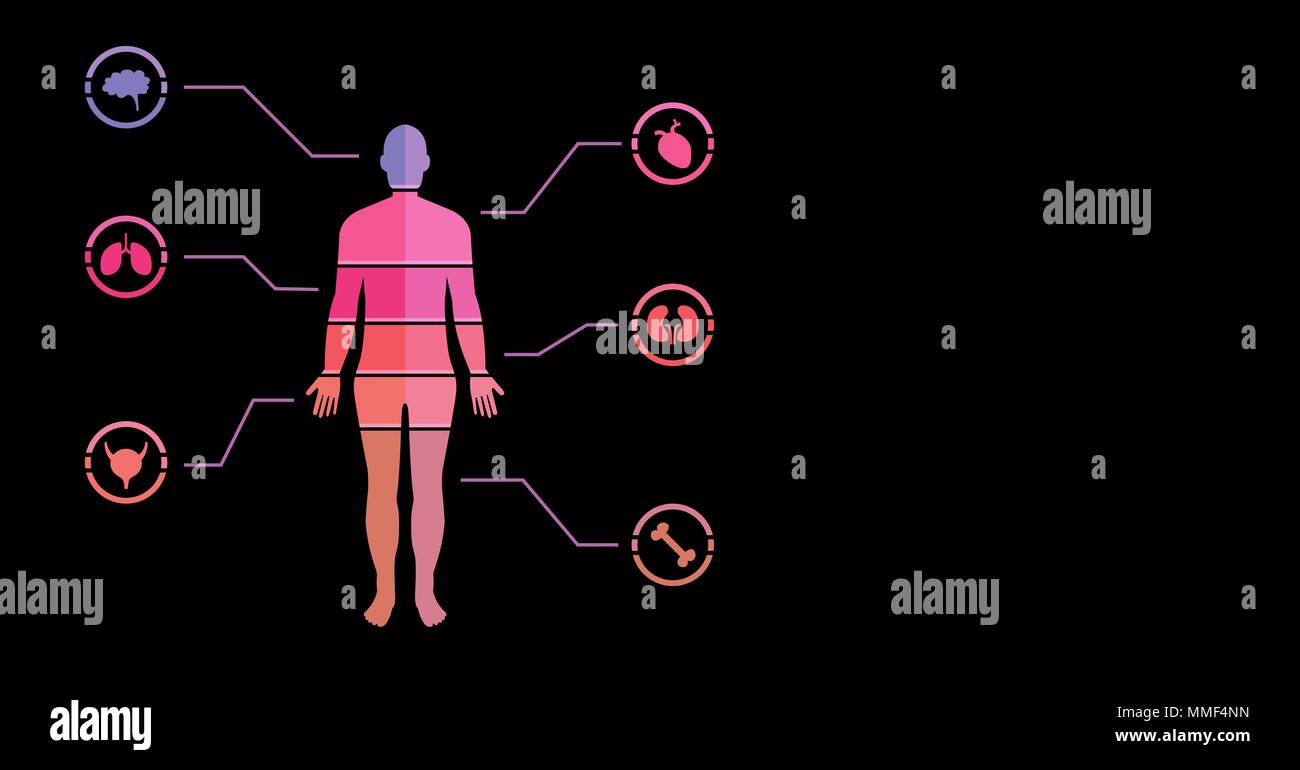 Human Body Human Body Chart Human Body Charts Human Anatomy Chart ...