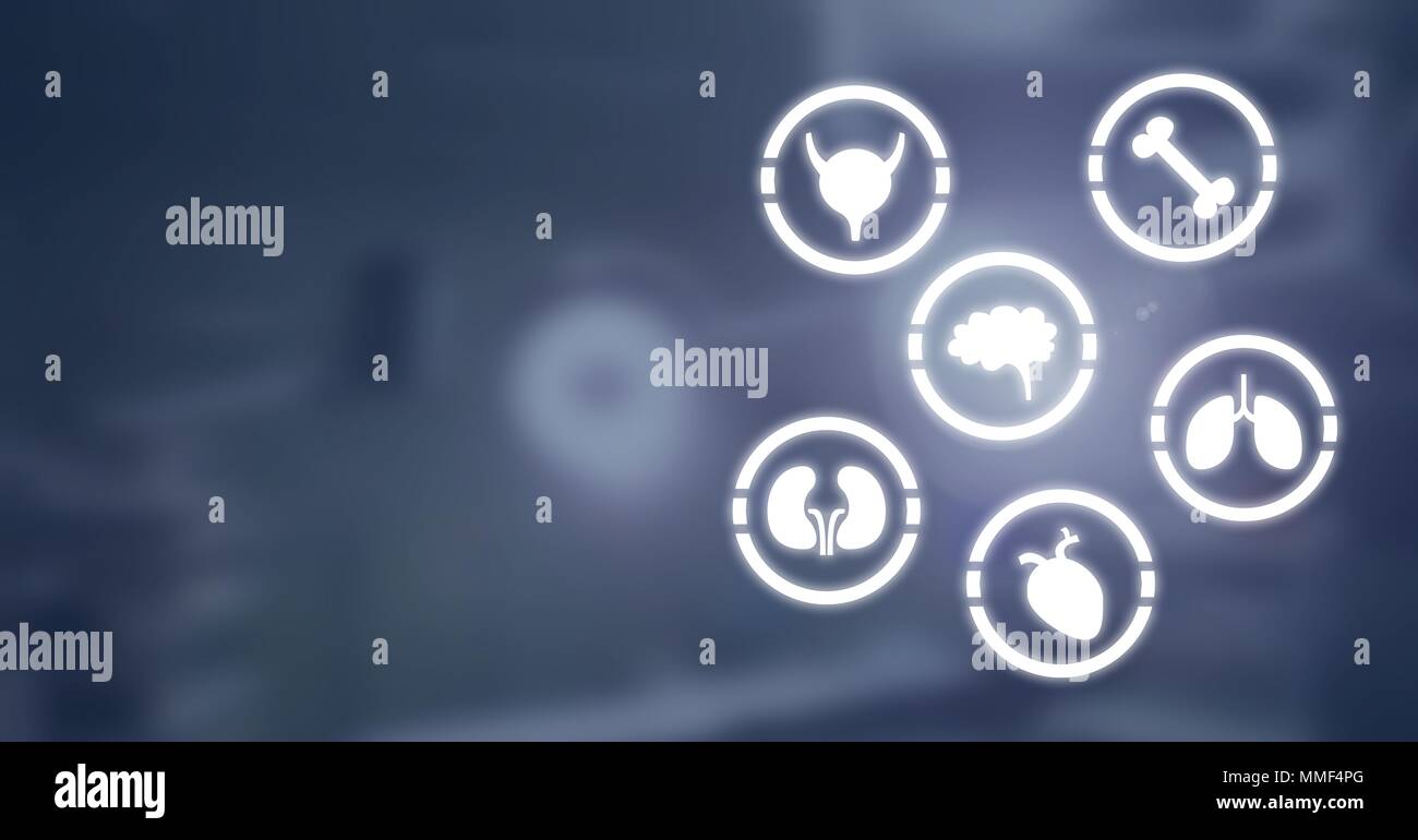 Body interior organs hi-res stock photography and images - Alamy