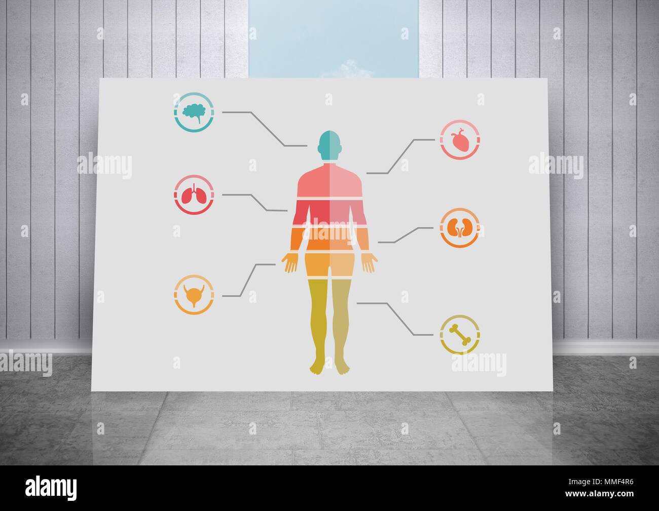 Human Body chart on card Stock Photo - Alamy