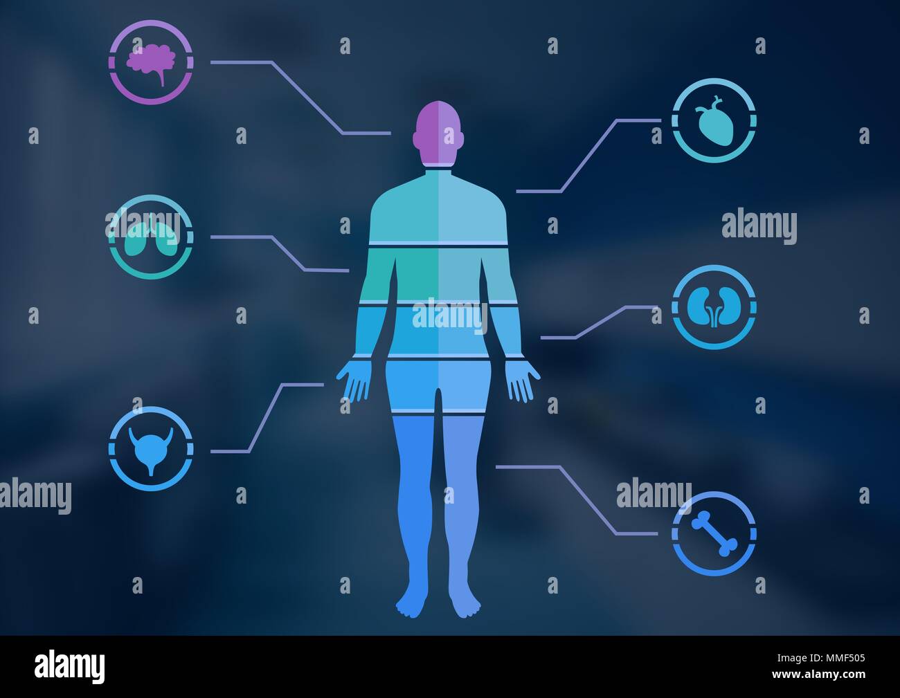 Human Body Chart and blue background Stock Photo - Alamy