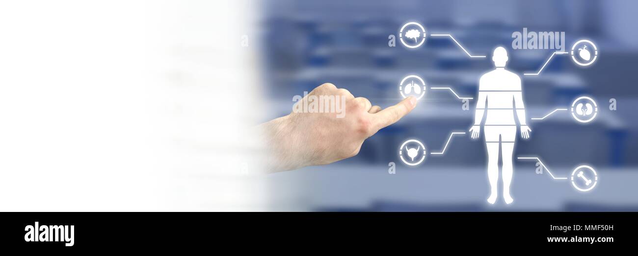 Human Body Chart and hand touching and blank transition Stock Photo - Alamy